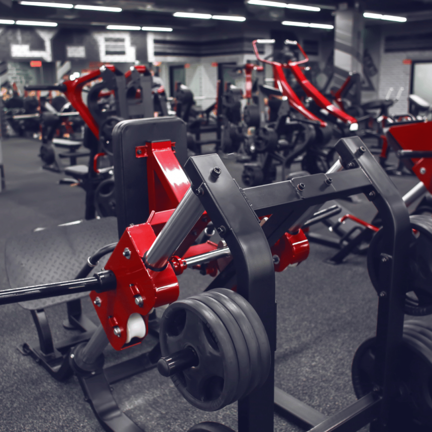 Alpha Fit – Shop Like ALPHA